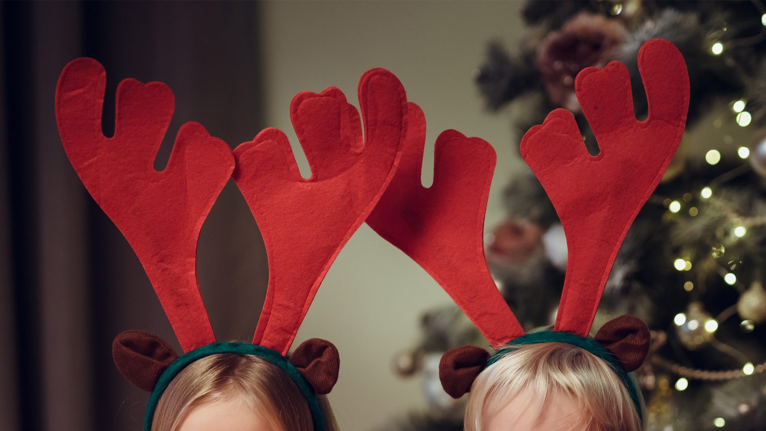 Gyarmati Andrea: Soha ennyi rénszarvas nem járt a kerületben | 24.hu