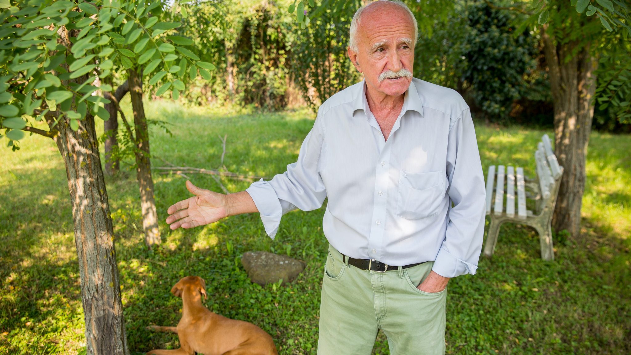 Koltai János egyedül töltötte a karácsonyt: "A fiamnak rengeteg munkája ...