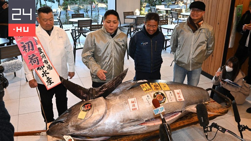 Az eddigi második legmagasabb áron kelt el egy kékúszójú tonhal ...