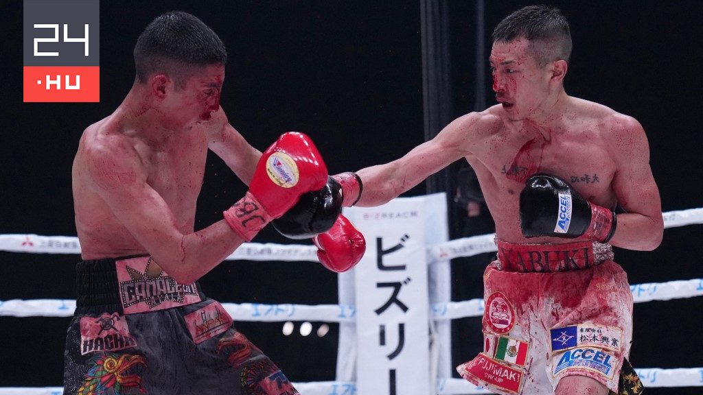 Vérfürdőt rendezett az IBF világbajnoki övért Ayala és Yabuki | 24.hu