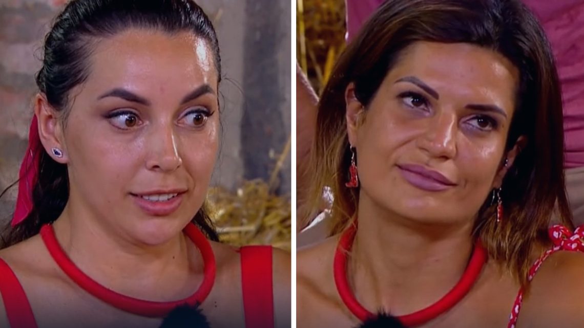 Farm VIP: "Együgyűnek a világon engem soha senki nem nevezett ...