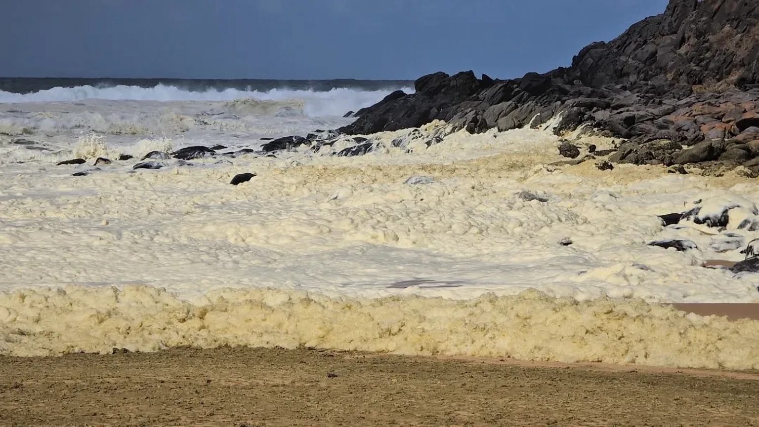 Rejtélyes hab lepte be Ausztrália tengerpartjait | 24.hu