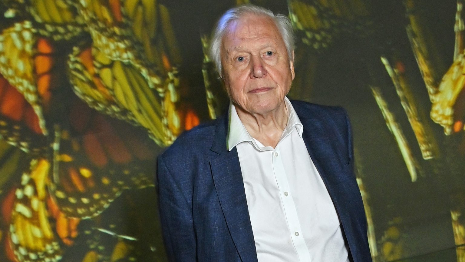 Századik életévébe lépve mondja el legfontosabb üzenetét David ...