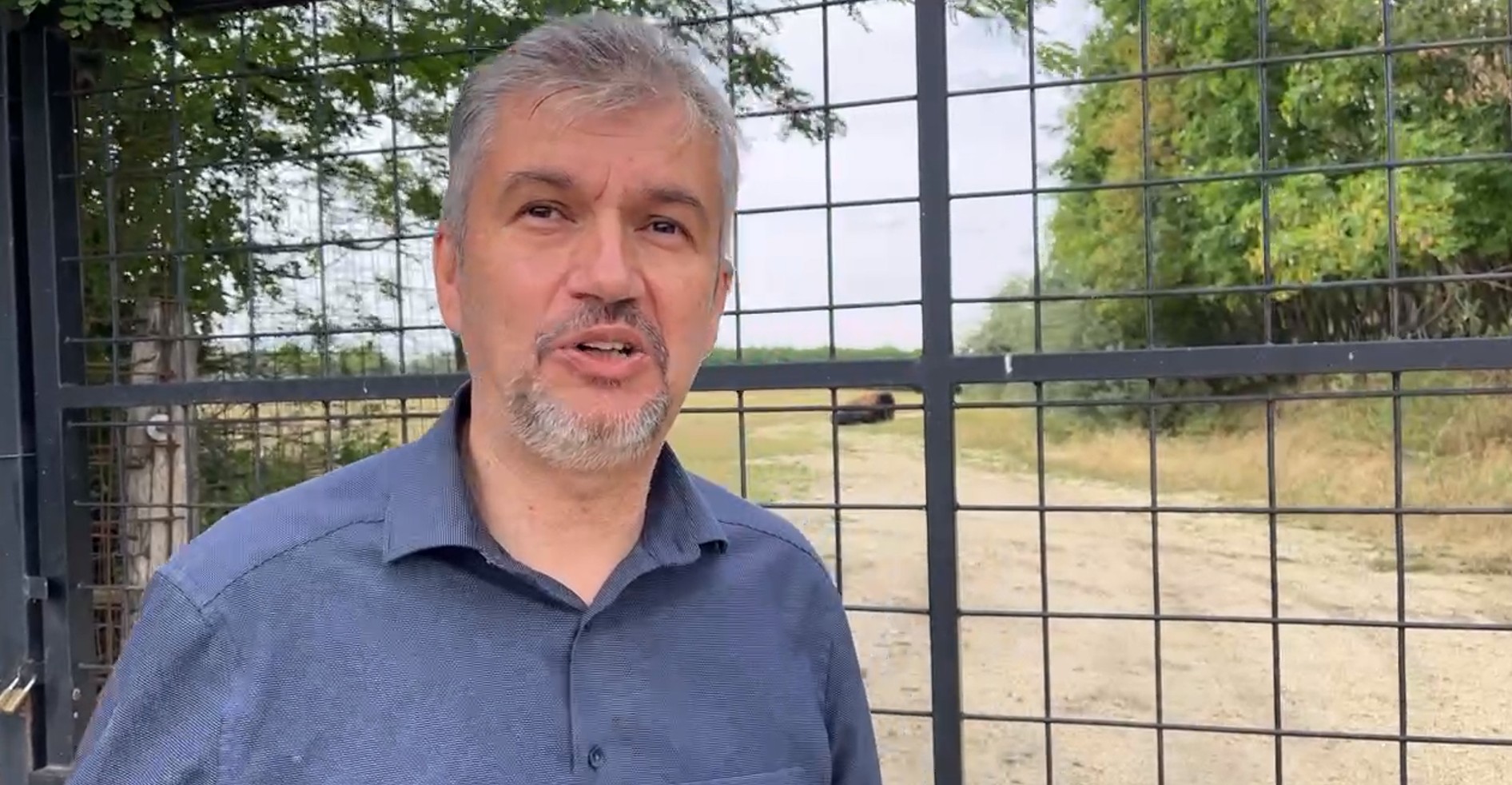 Hadházy Ákos talált egy bölényt Hatvanpuszta mellett | 24.hu