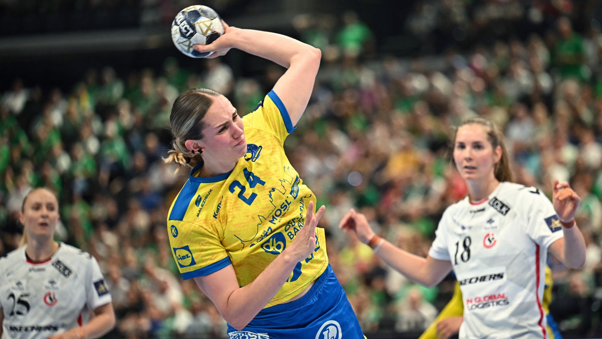 Magyar állampolgár lett Elek Gáborék új igazolása | 24.hu