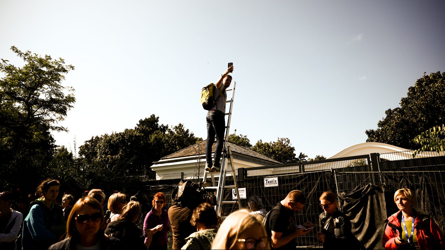 Engedetlen zebrák | 24.hu