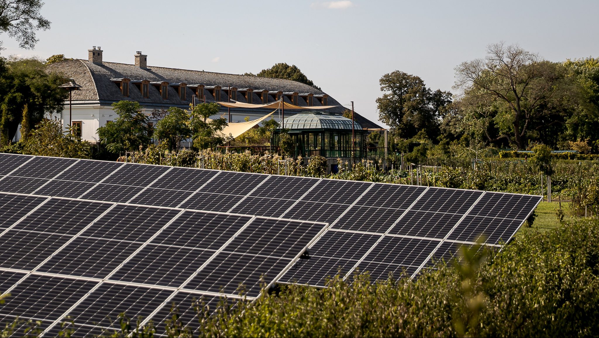 Friss hírek: 0 - 24 | 24.hu - 1000. oldal