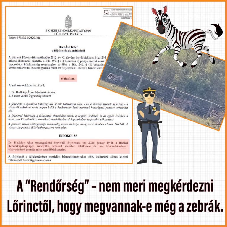 Hadházy: Nem keresik a rendőrök a Hatvanpusztáról eltűnt zebrákat | 24.hu