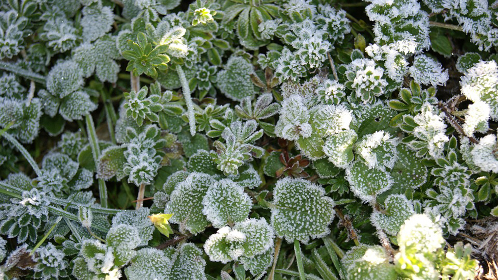 Majd ha fagy! | 24.hu