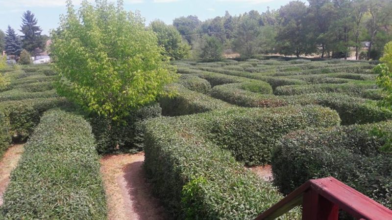 Dobogós helyen áll világviszonylatban az ópusztaszeri labirintus ...