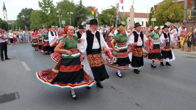 Hungarikumként diktálja a divatot a matyó rózsa | Sokszínű vidék