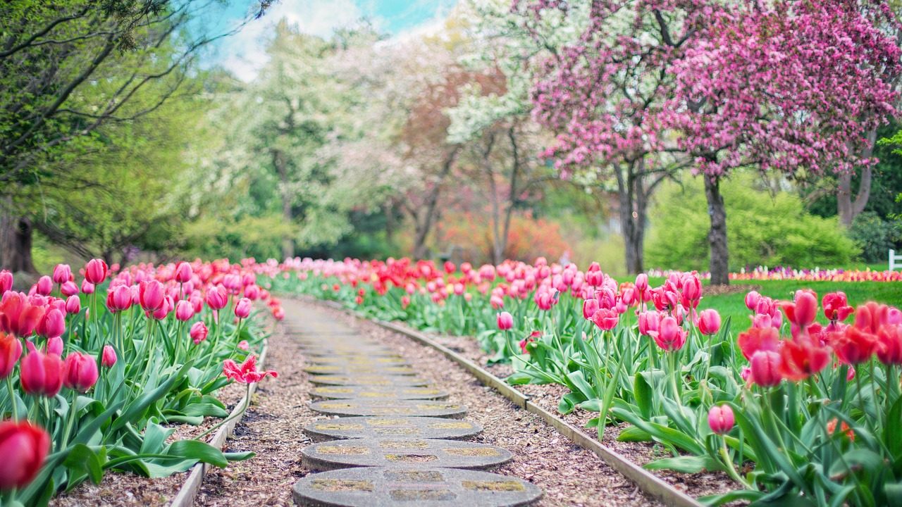 Ma hivatalosan is megkezdődik a tavasz | Sokszínű vidék