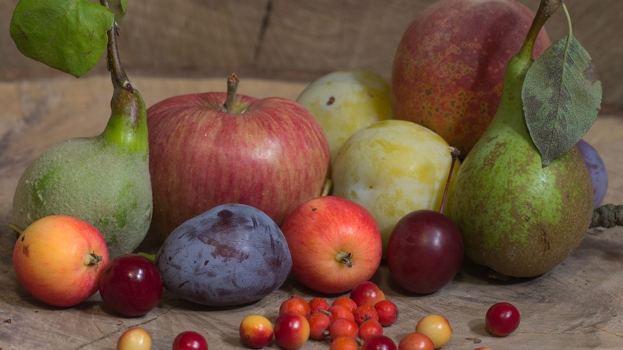 Minden idők egyik leggyengébb gyümölcstermése várható Magyarországon ...