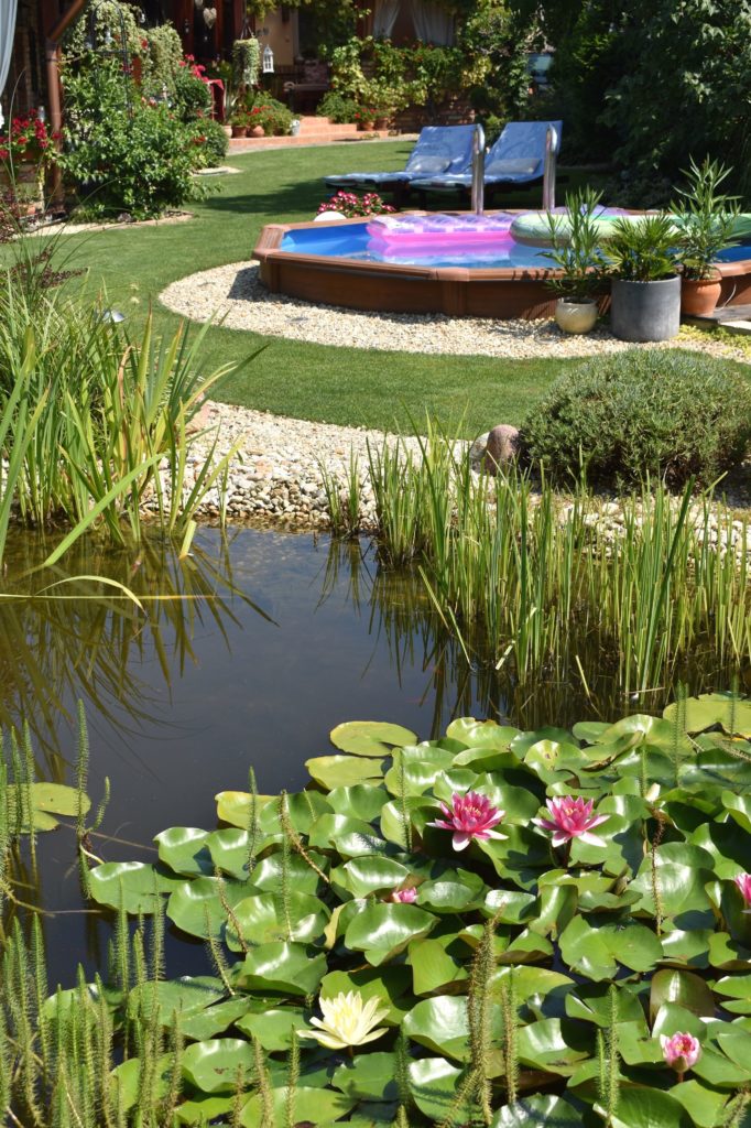 Ebben a kisvárdai kertben csodás az évszakok körforgása | Sokszínű vidék