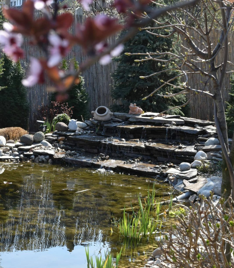 Ebben a kisvárdai kertben csodás az évszakok körforgása | Sokszínű vidék