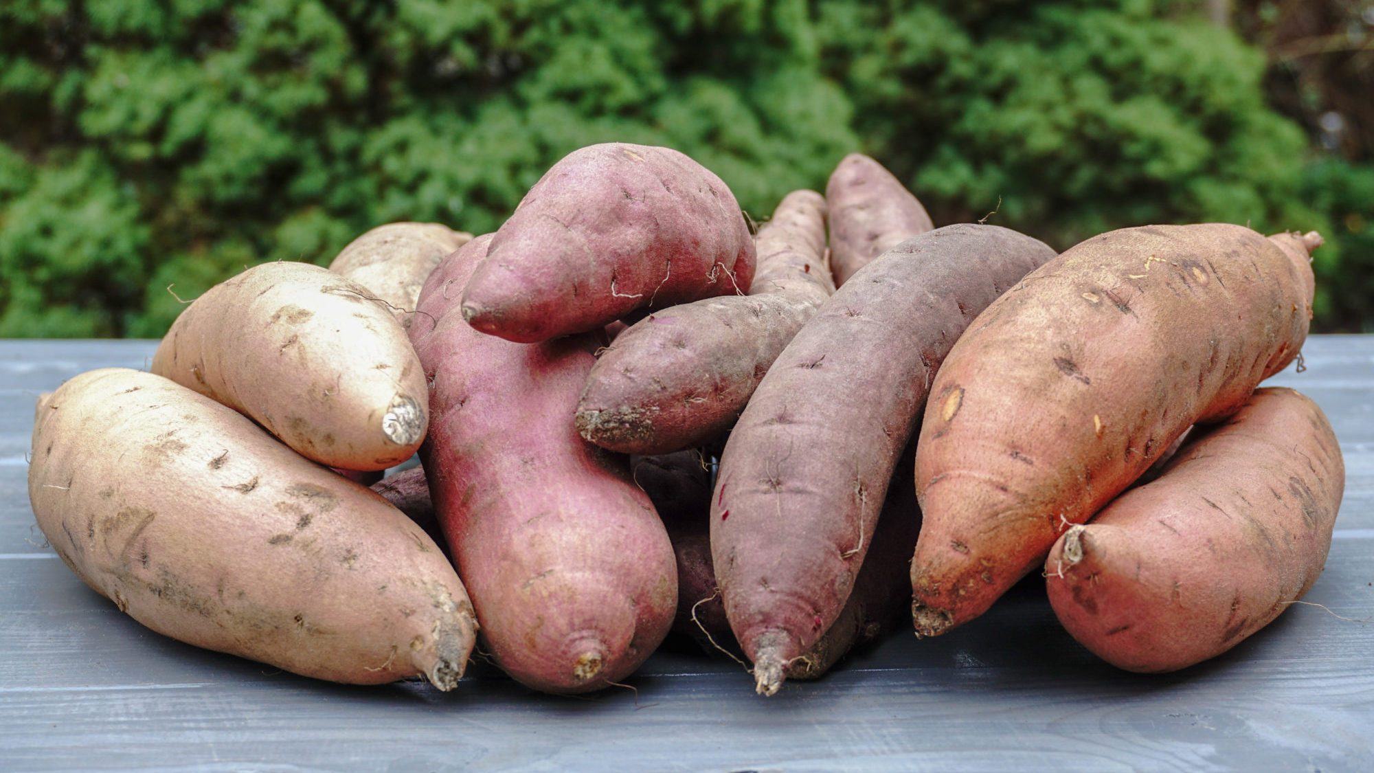 Minden, amit a batátáról tudni kell | Sokszínű vidék