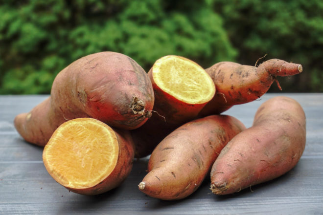 Minden, amit a batátáról tudni kell | Sokszínű vidék