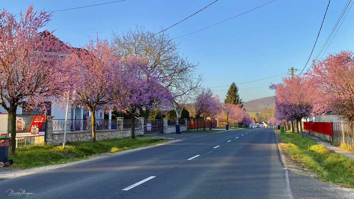 Alighanem ez az ország legszebb falusi főutcája | Sokszínű vidék
