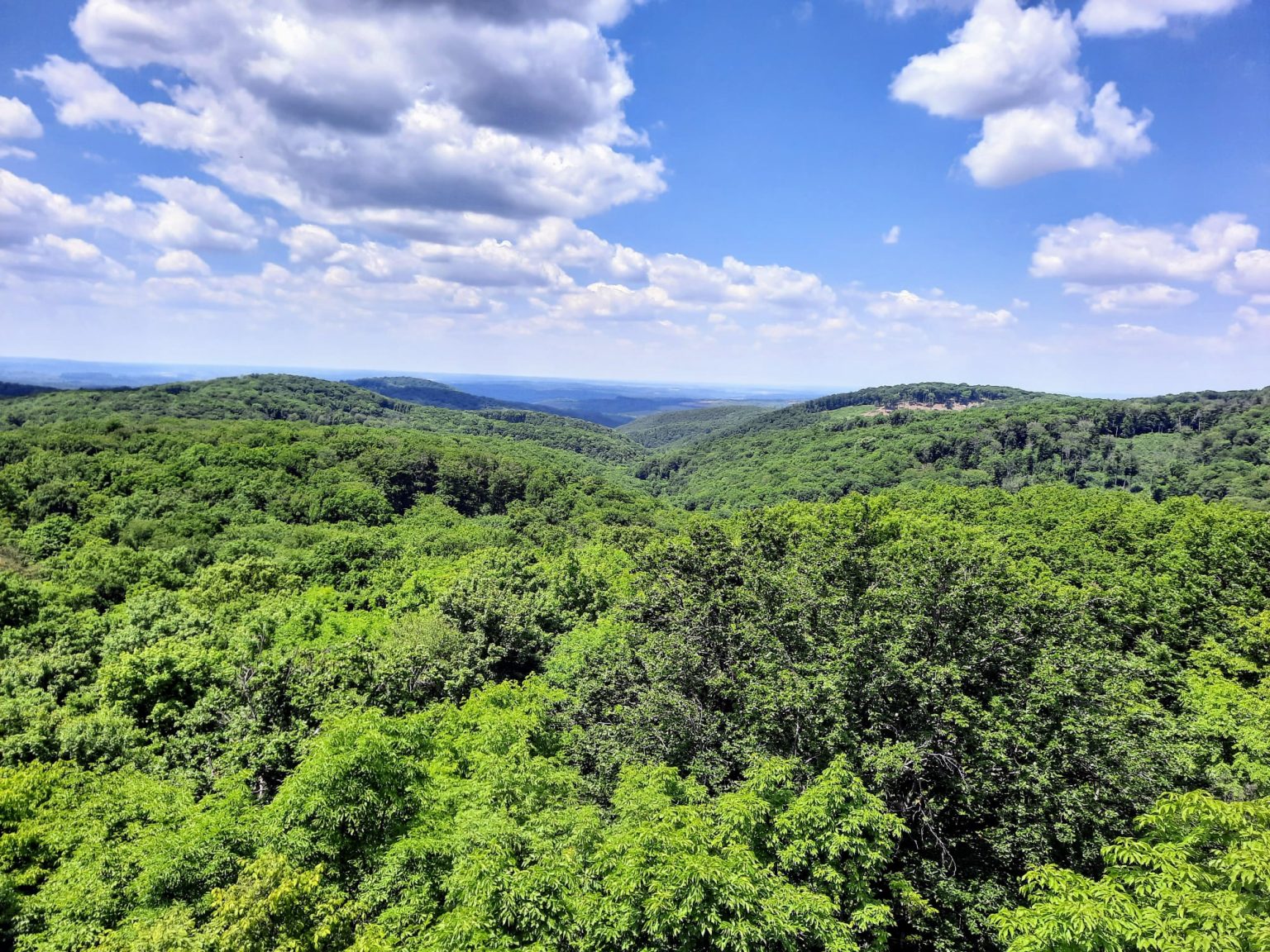 Mesés panorámájú, bakancslistás kilátók a Mecsekben | Sokszínű vidék