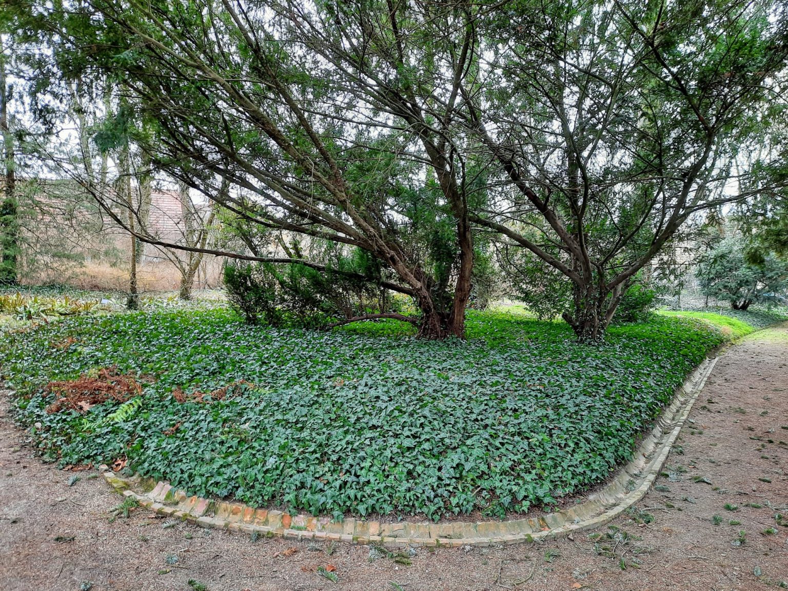 Az Ormánság csodás ékköve a sellyei kastély és arborétum | Sokszínű vidék