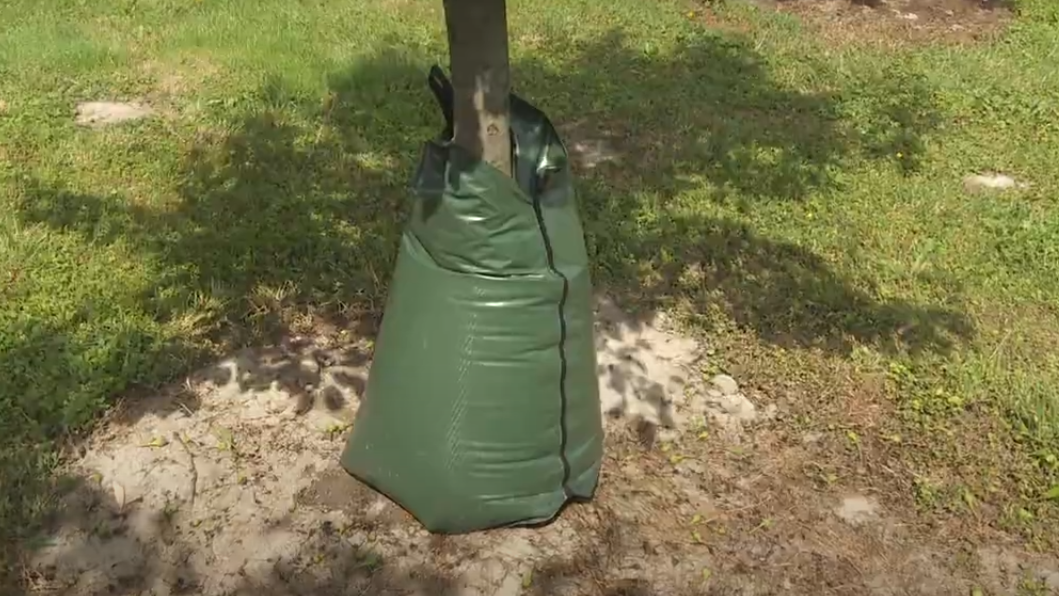 Mindig a lelkek gyógyításával foglalkozott: 80 éves Bagdy Emőke ...