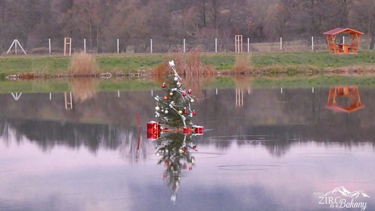 Porva tavának közepén áll a falu karácsonyfája | Sokszínű vidék