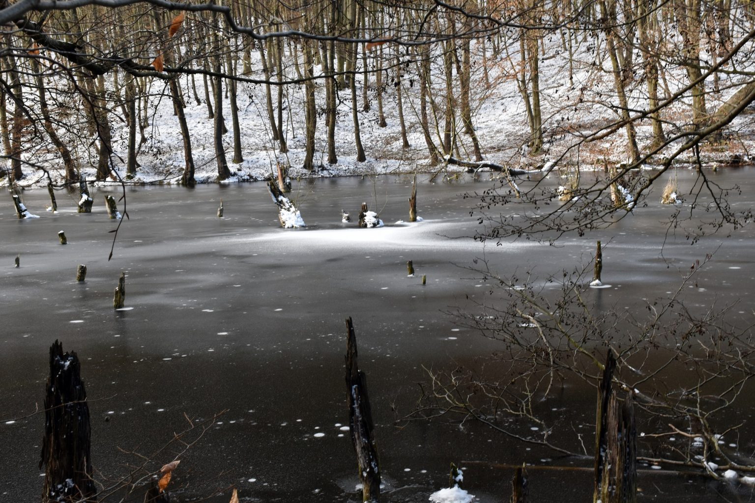 Kísérteties látvány a befagyott bakonyi Gyilkos-tó | Sokszínű vidék