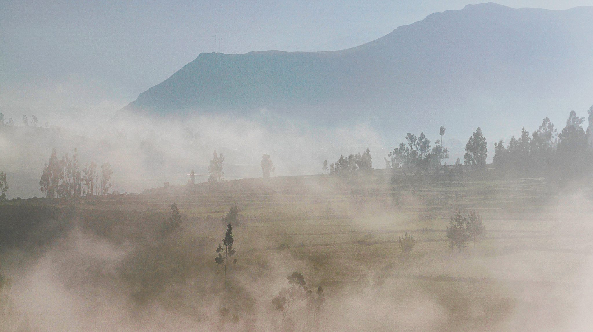 Por a globális felmelegedés ellen? | Sokszínű vidék