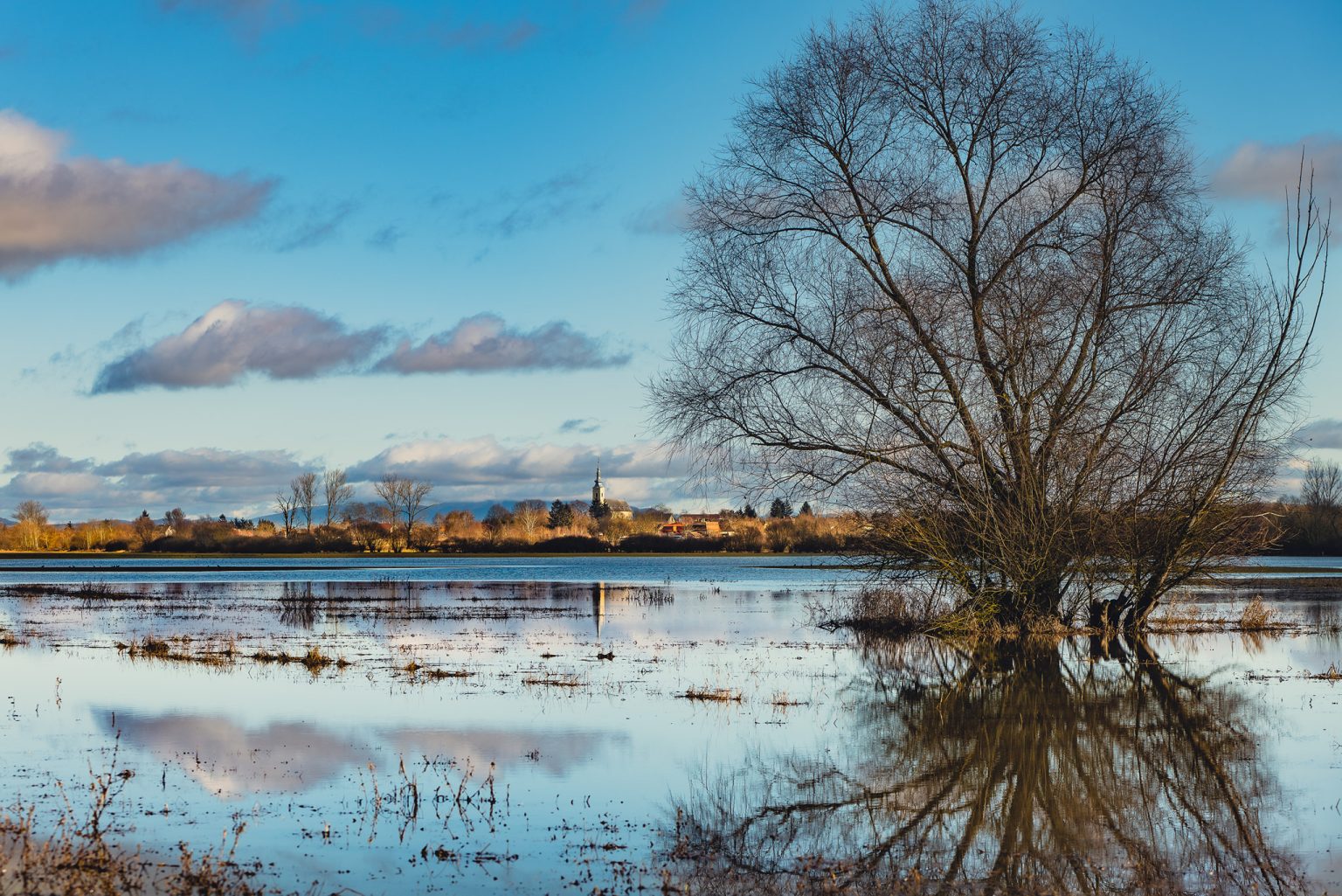 Meséssé festi a tájat az Ipoly megduzzadt ártere | Sokszínű vidék
