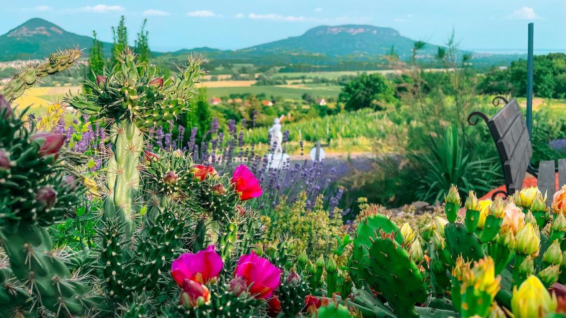 Balzsam a léleknek az ország első mediterrán botanikus kertje ...