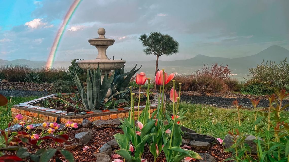 Balzsam a léleknek az ország első mediterrán botanikus kertje ...