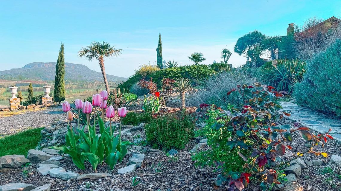 Balzsam a léleknek az ország első mediterrán botanikus kertje ...