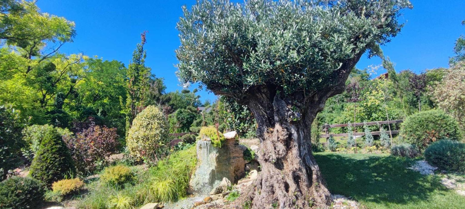 Szerelmes, egészséges és nyugalmat talált mesebeli kertjében | Sokszínű ...