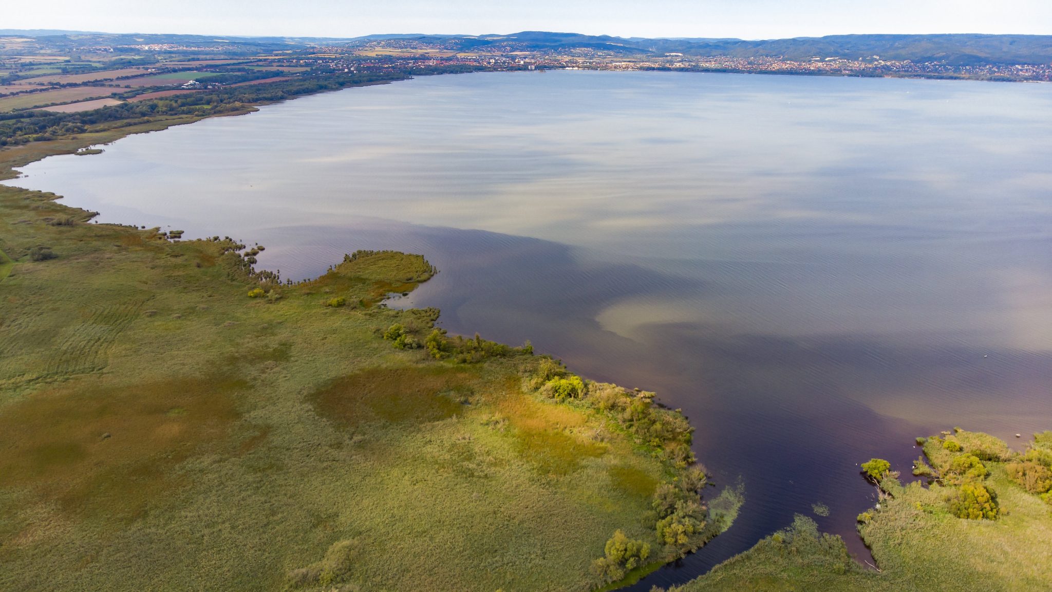 Ismét beindulhat az algavirágzás a Balatonban | Sokszínű vidék