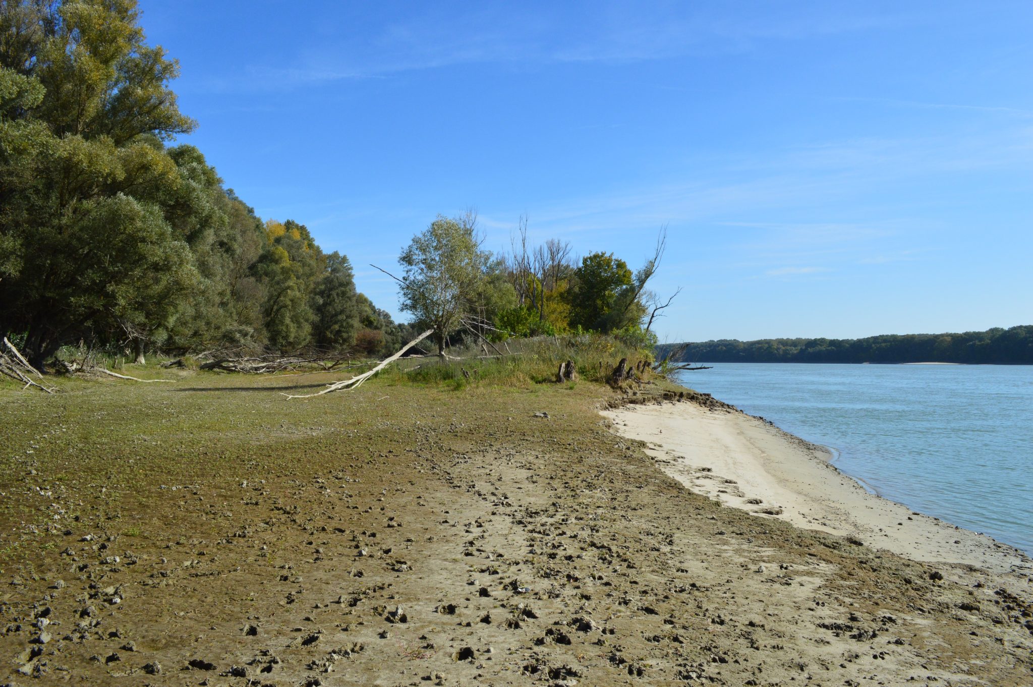 Idén is megválasztják az év dunai szigetét | Sokszínű vidék