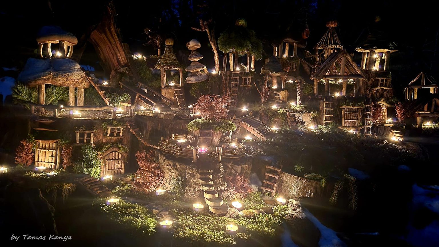 Elmosta a víz a Duna-parti madárvárost | Sokszínű vidék