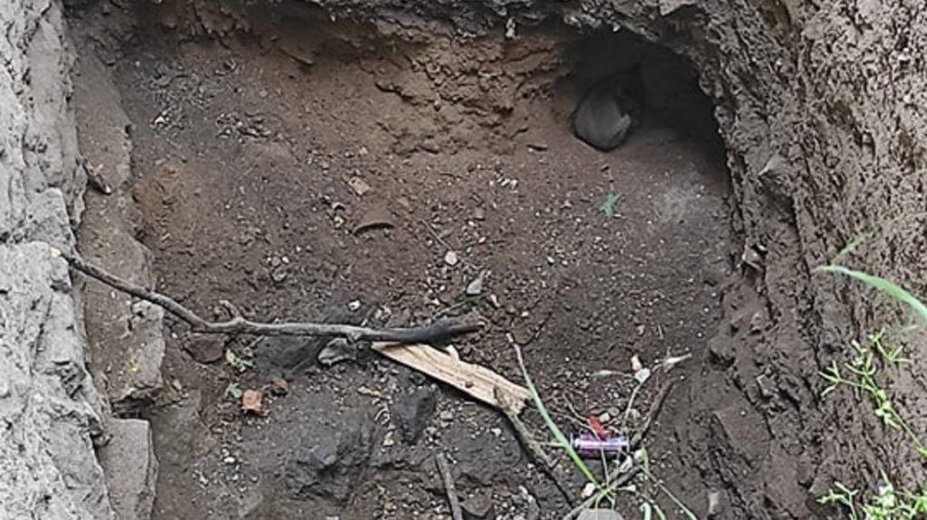 Több méteres árkot hagytak fedetlenül Visegrádon, egy kis róka az ...