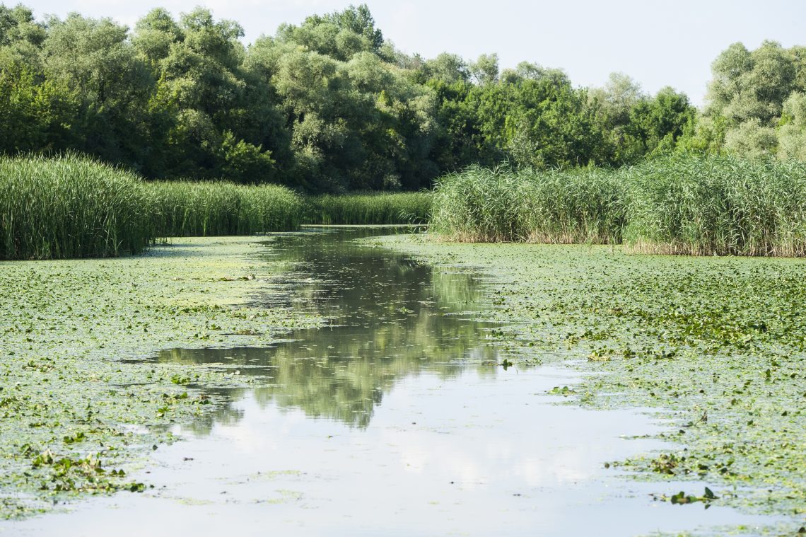 15 kihagyhatatlan látnivaló a Tisza-tó körül | Sokszínű vidék