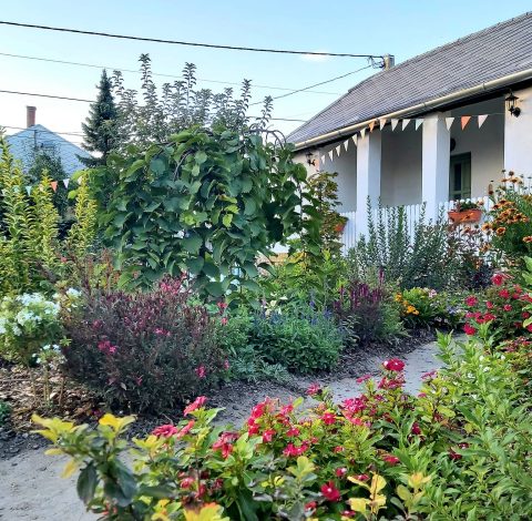 Százéves szatócsboltból tüneményes portát varázsoltak Jászkiséren ...