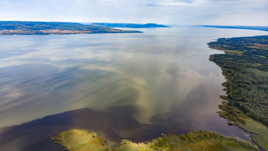 Megjelentek a fonalas cianobaktériumok a Balatonban | Sokszínű vidék